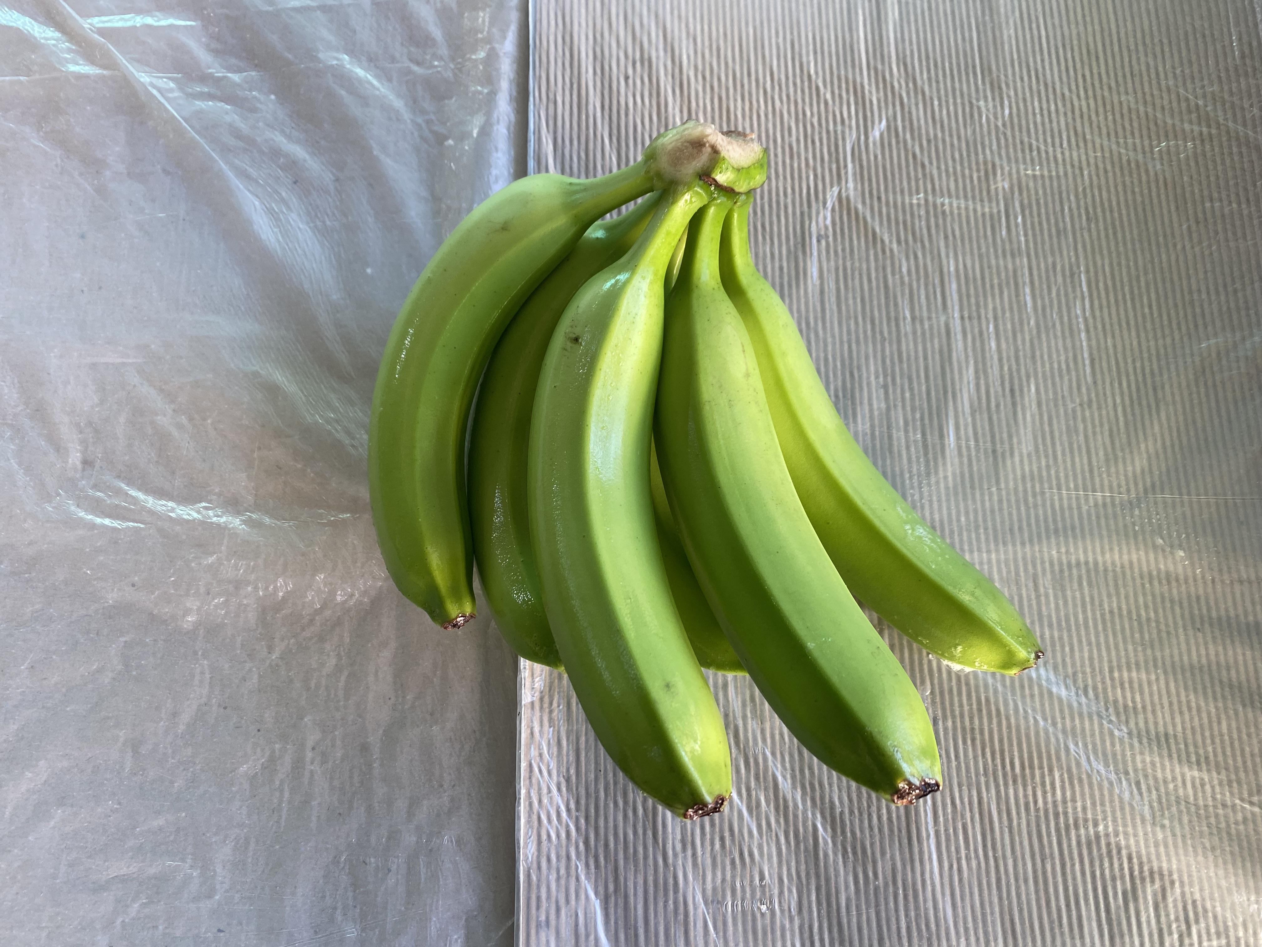 Banana Defects Object Detection Dataset By Vc