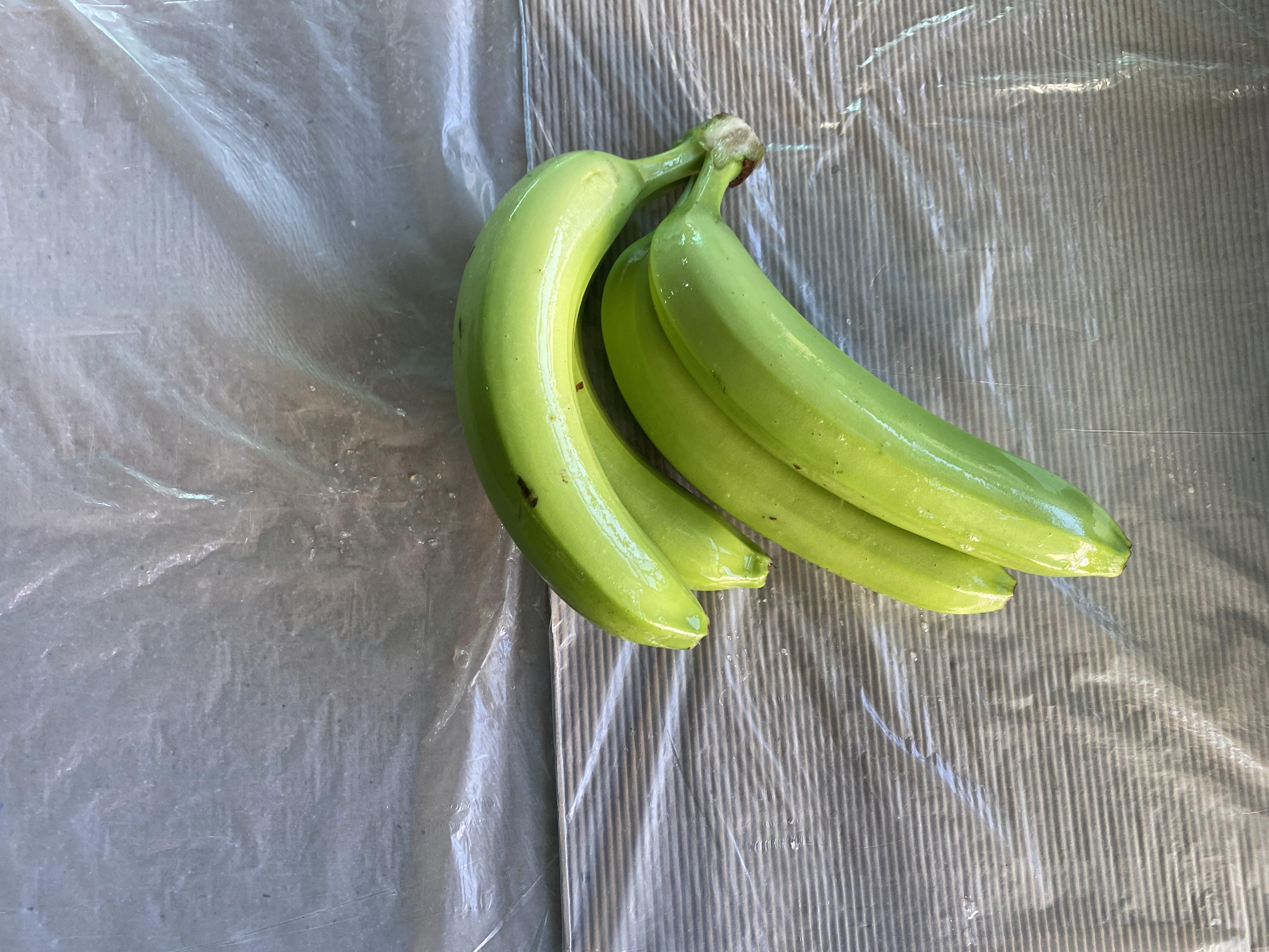 Bana Classification Classification Dataset by vc