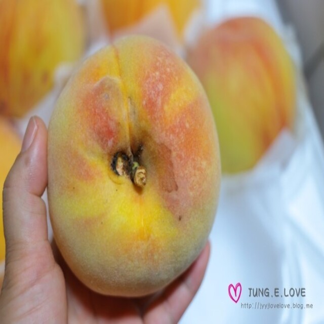 peach final test Object Detection Dataset by JNU