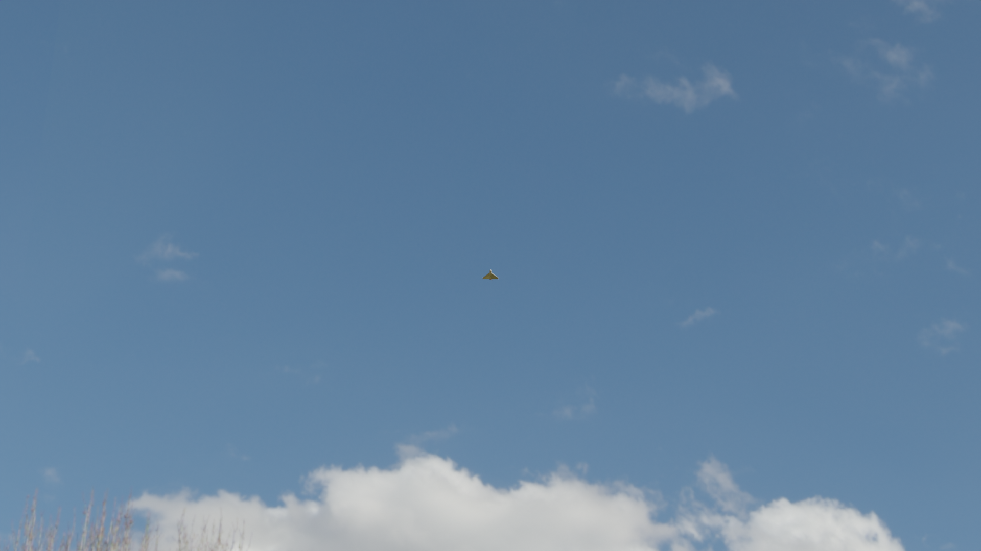 God's Eyes Object Detection Dataset and Pre-Trained Model by project-dfcok