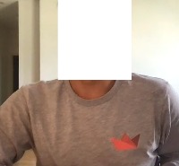 Streamlit-Logos Object Detection Dataset and Pre-Trained Model by Streamlit