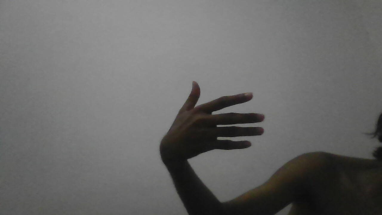 hand detection Object Detection Dataset and Pre-Trained Model by my detection