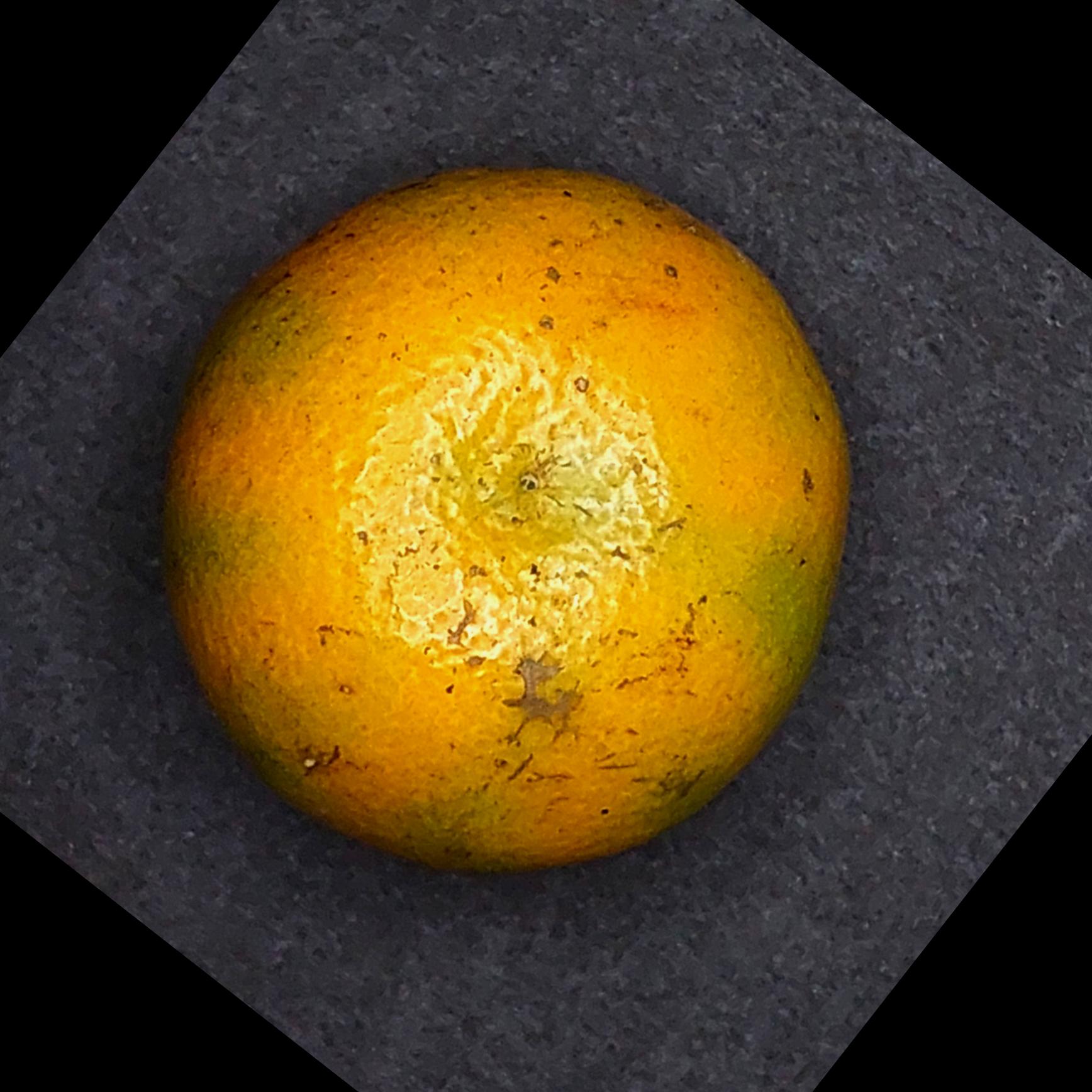 Jeruk V2.1 Augmentasi 1 Classification Dataset by Skripsi