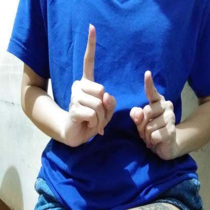 Hand Sign Detection Object Detection Dataset and Pre-Trained Model by miniproject