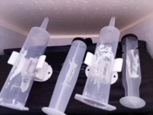 pi_batch_1 Object Detection Dataset by Angela Lui