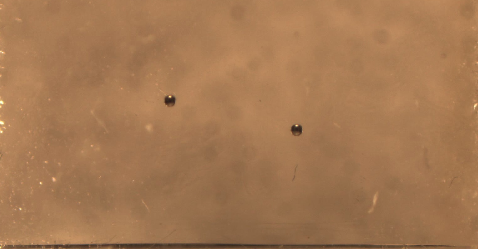 How to Use the Multi-Agent Tracking Object Detection API