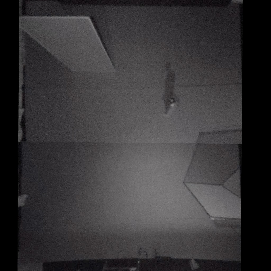 How to Use the AMCB-Tracker-Fabrique Object Detection API