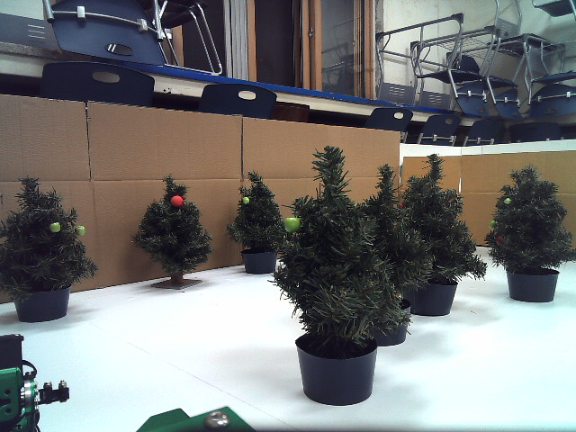 right_tree Object Detection Dataset and Pre-Trained Model by tree