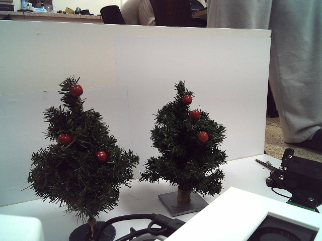 murge Object Detection Dataset by tree