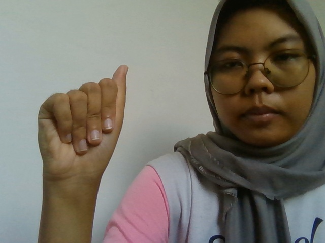 How to Use the SIBI SIGN LANGUAGE STATIS Object Detection API