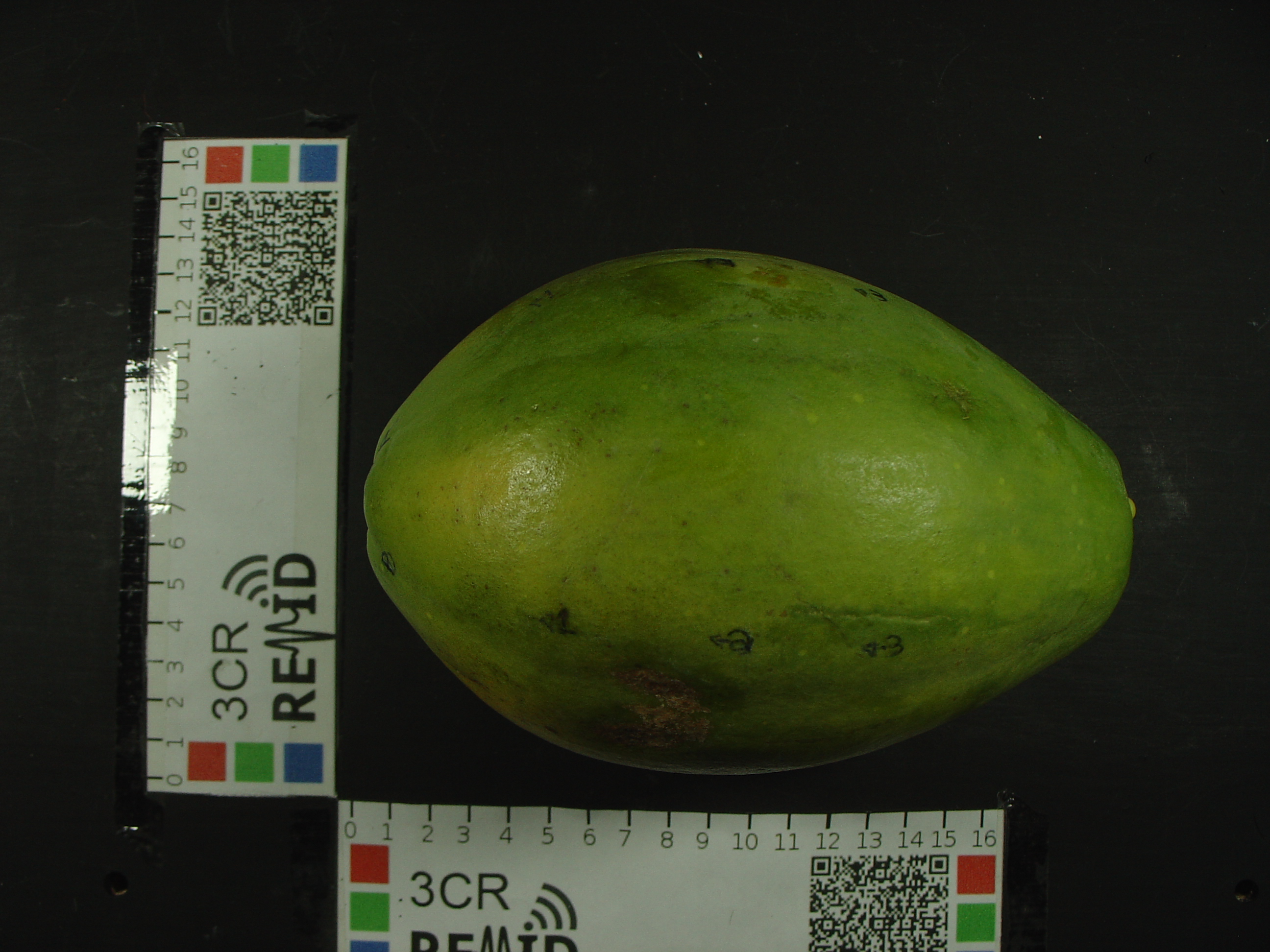 Ripeness Object Detection Dataset and Pre-Trained Model by Maurea