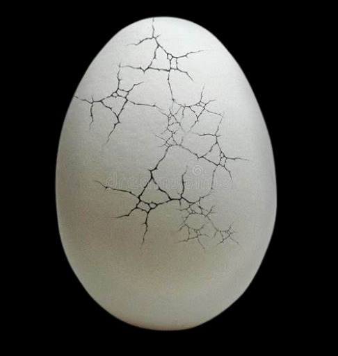 Egg Cracks Detection Object Detection Dataset By Innodatatics