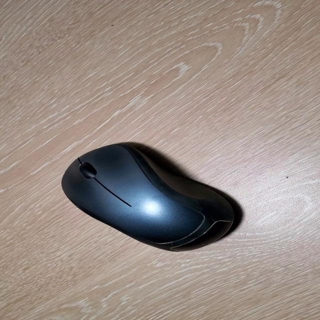 Mouse Data2 Object Detection Dataset By Tesisusbbog