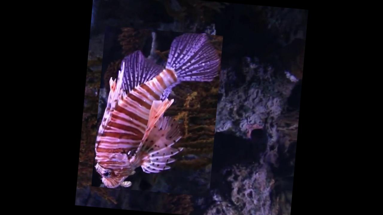 Seami_YoloV5_All Object Detection Dataset (v1, 2022-09-11 1:51pm) by ...