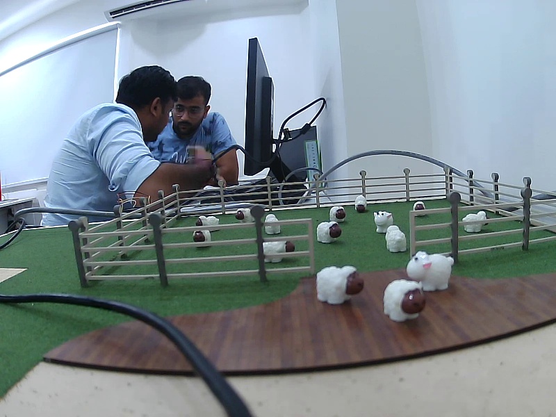 How To Use The Sheep Detection Version 1 Object Detection Api
