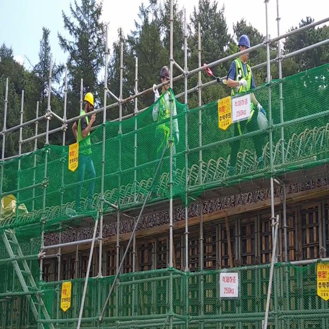 Scaffolds Object Detection Dataset by ConTIL Dataset