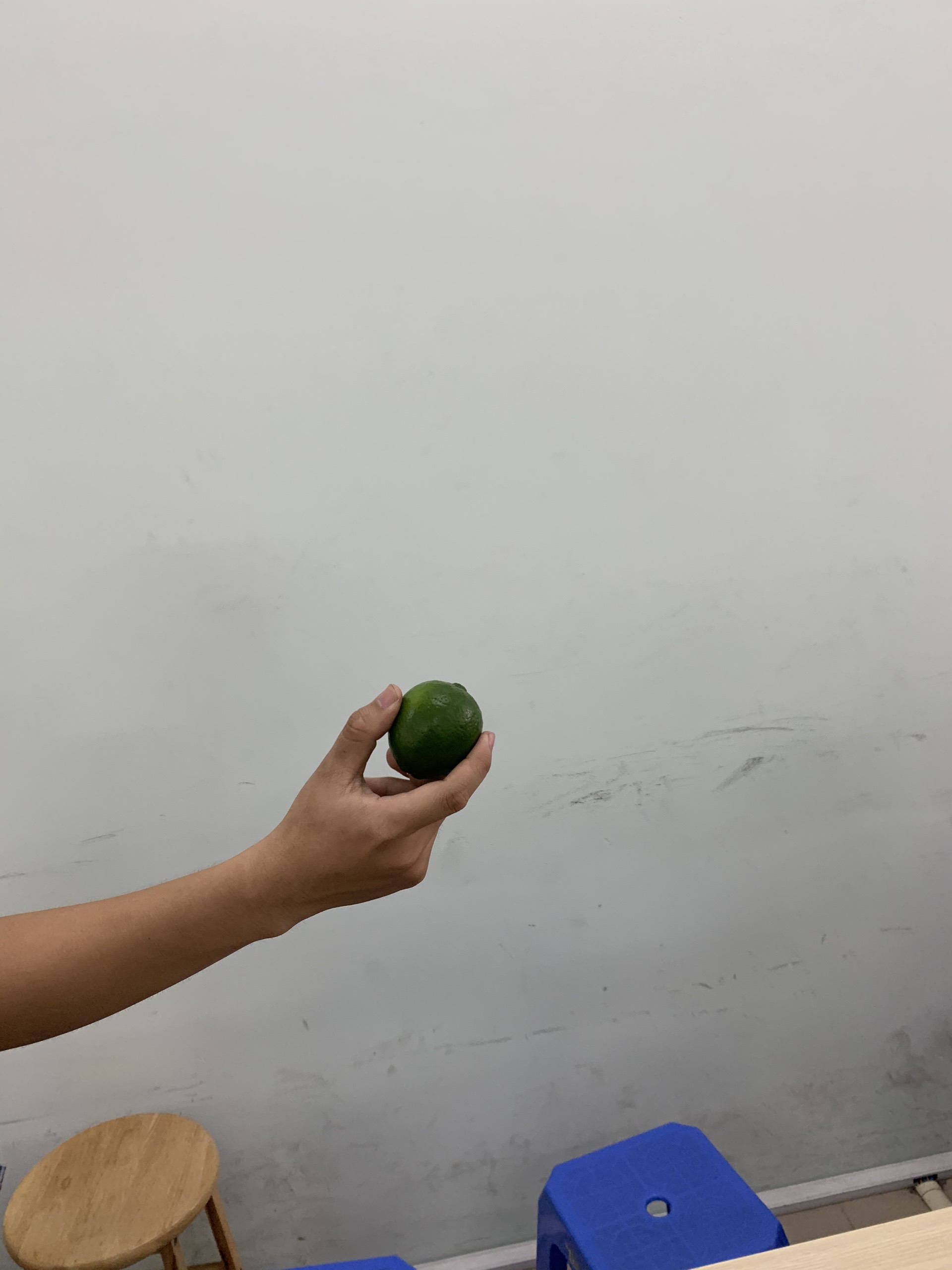 Lime Detection Object Detection Dataset By Dip