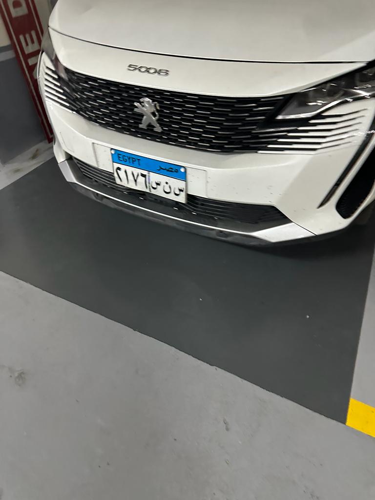 How to Use the License Plate Object Detection API