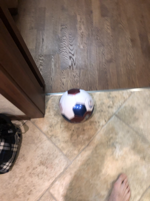 How to Use the Soccer ball tracker Object Detection API