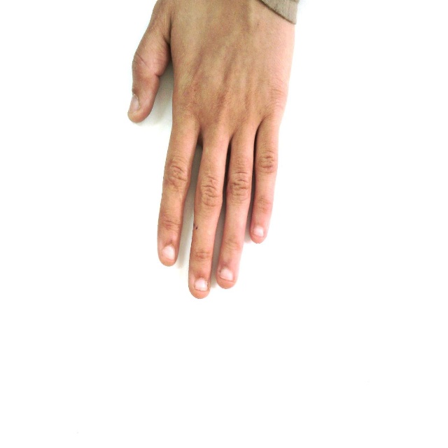 Finger detection Object Detection Dataset by Adok