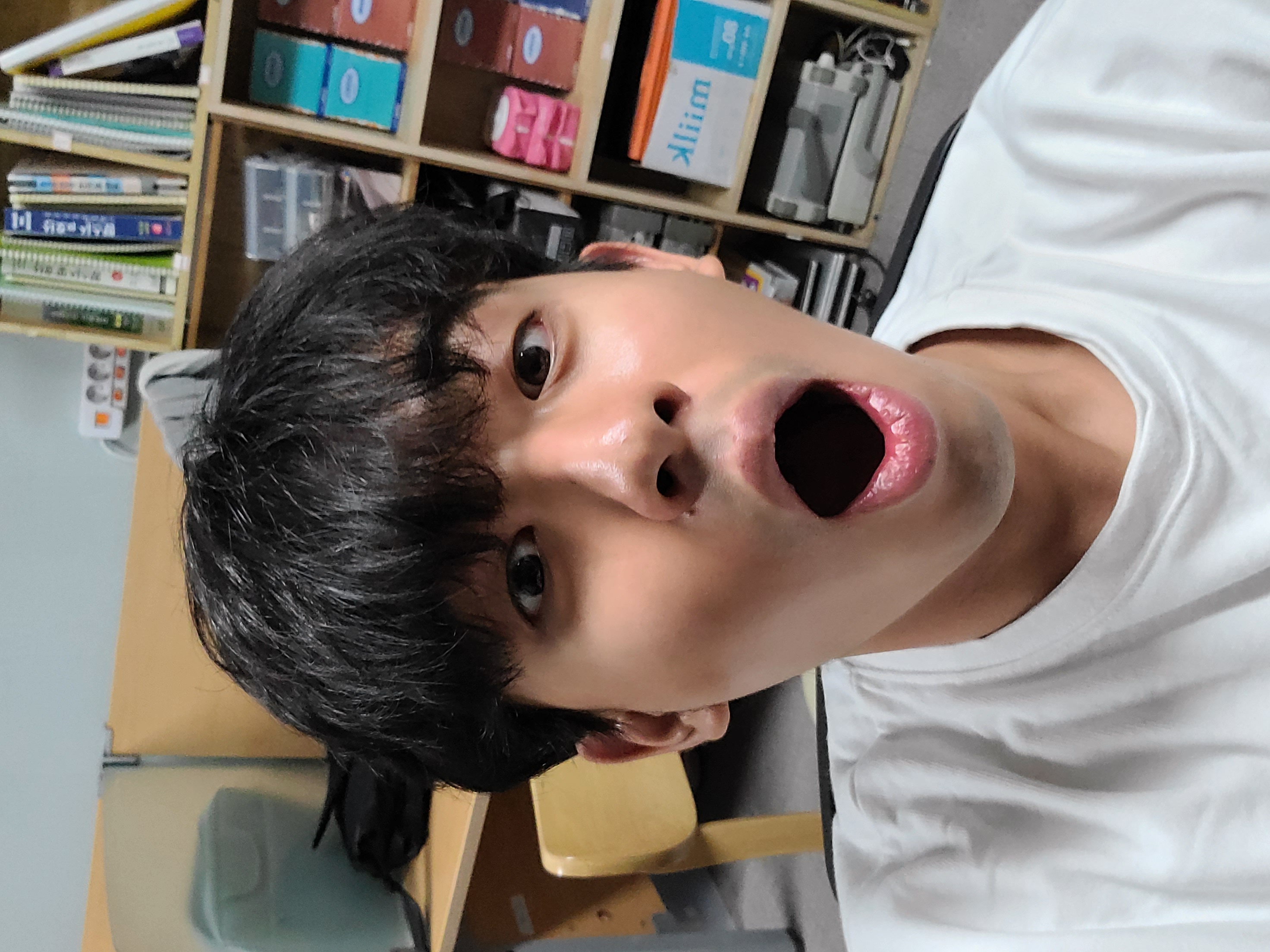 Detecting people Object Detection Dataset and Pre-Trained Model by school