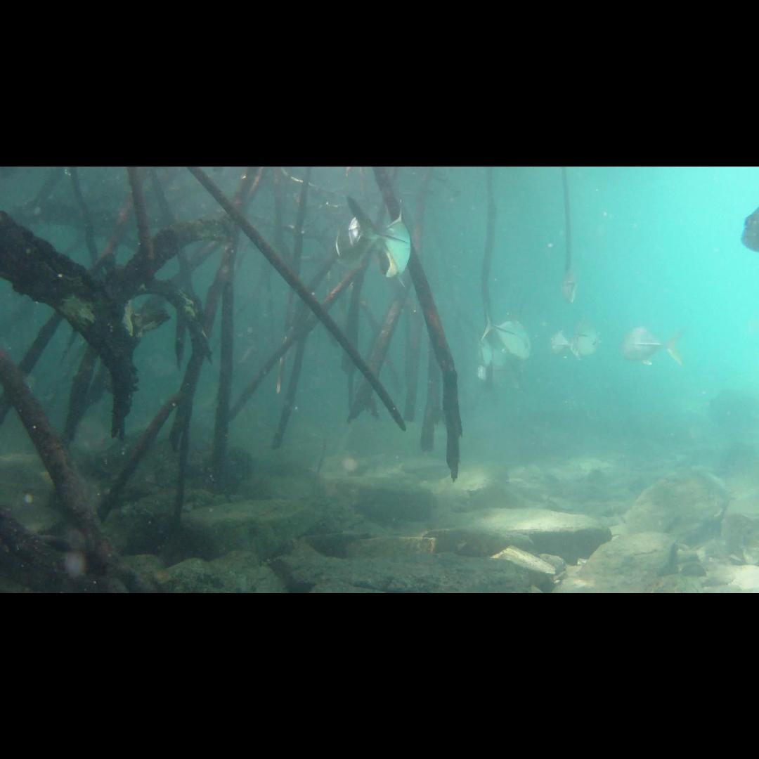 Brrrrrrr - Roboflow Universe