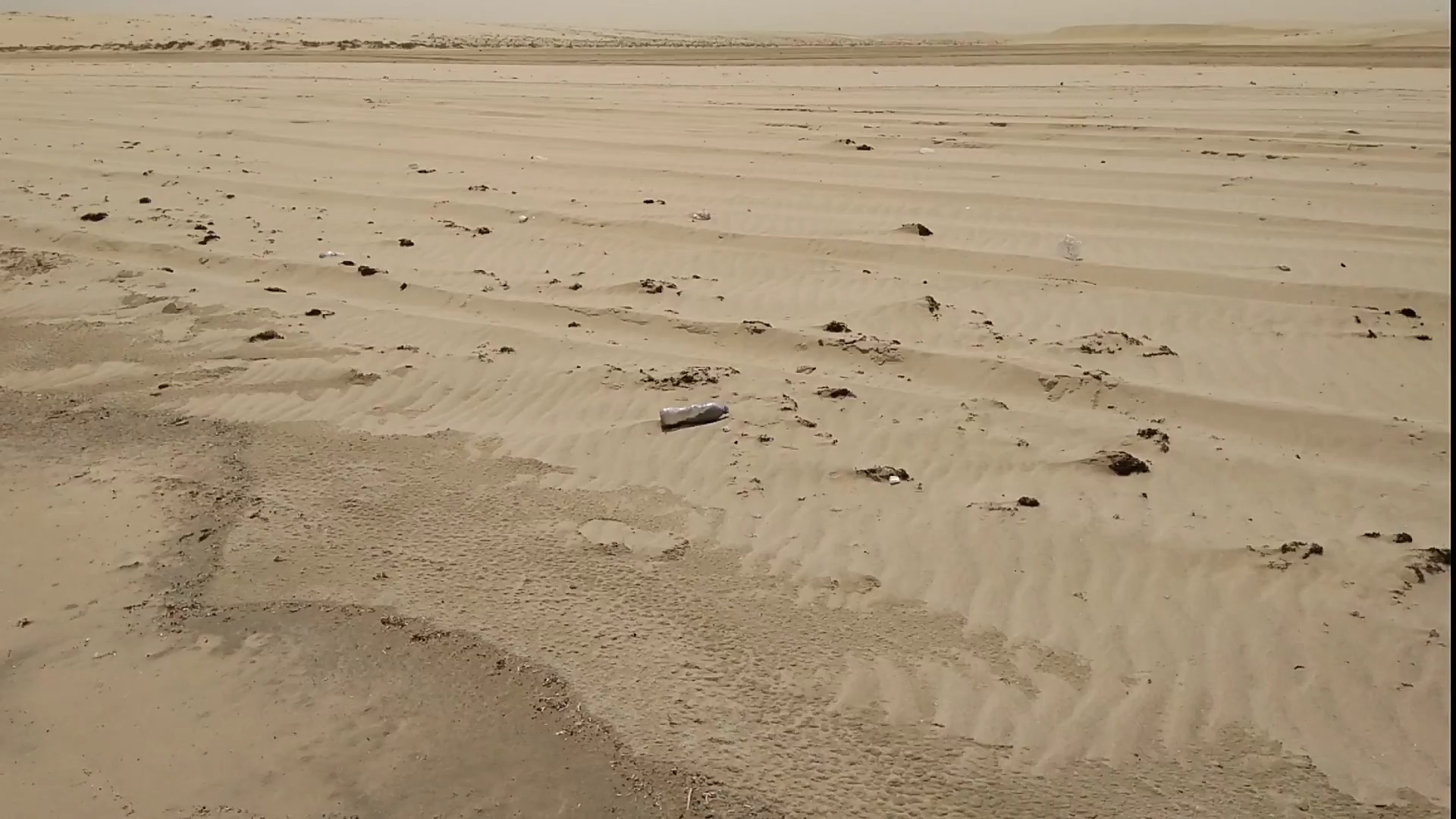 How to Use the waste-detection Object Detection API