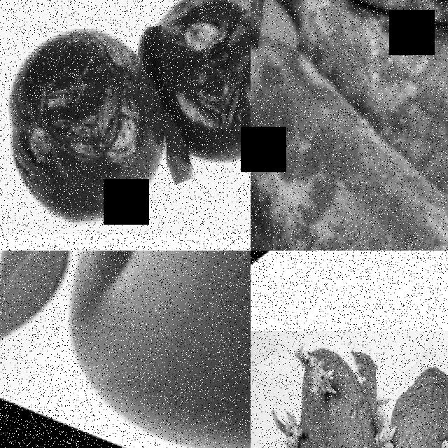 Food Detection Object Detection Dataset And Pre Trained Model By Bb