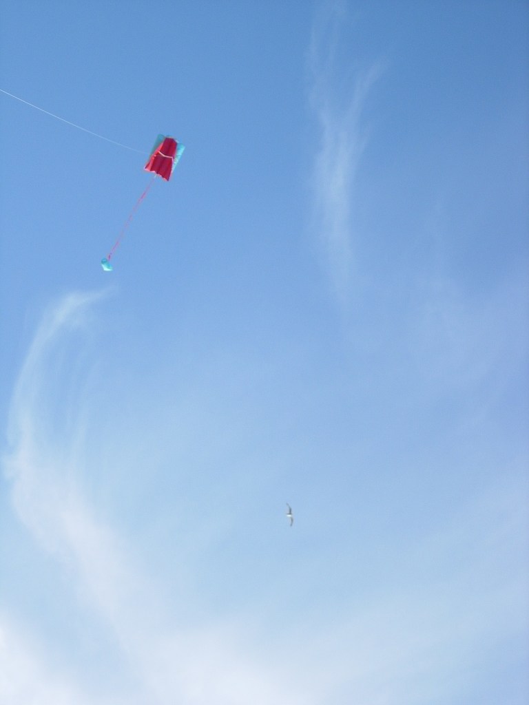 Kite Object Detection Dataset By Afif Dimas Harfi