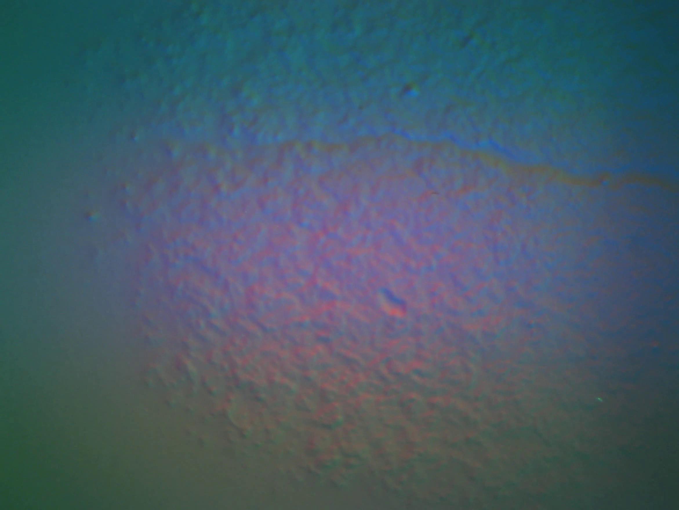 Only BBox Object Detection Dataset by IAS