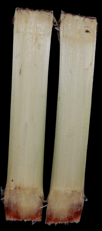 Top Brixb Datasets and Models | Roboflow Universe