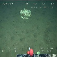 Waste segregation Object Detection Dataset by University of Central Asia