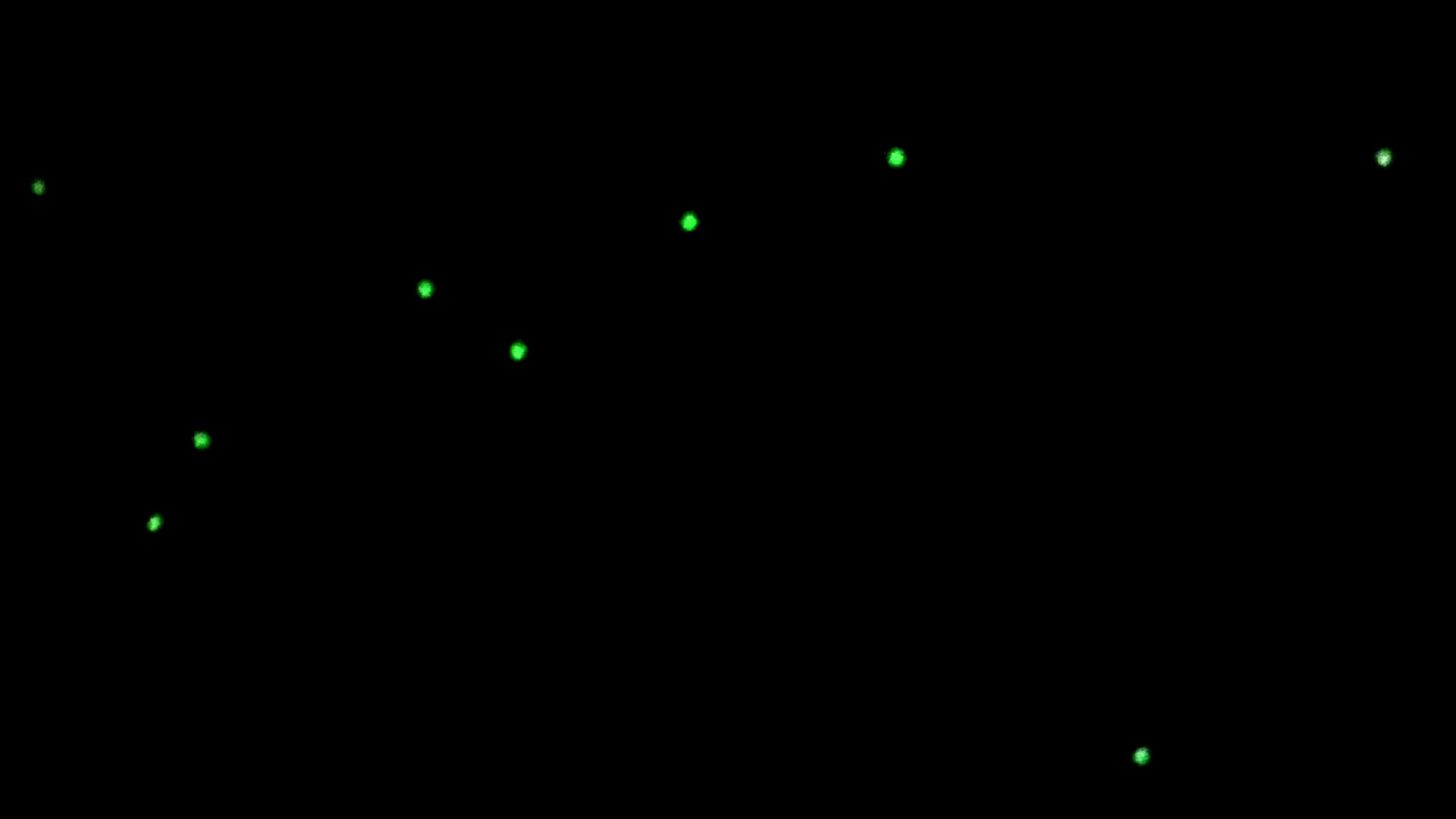 Particles Object Detection Dataset by Thorbjorg Petursdottir