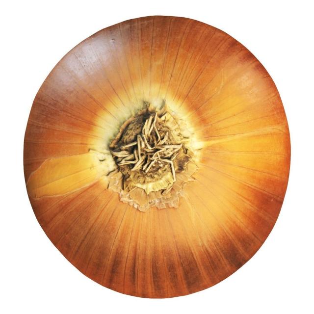 onion Object Detection Dataset and Pre-Trained Model by avocadooiloniontrain