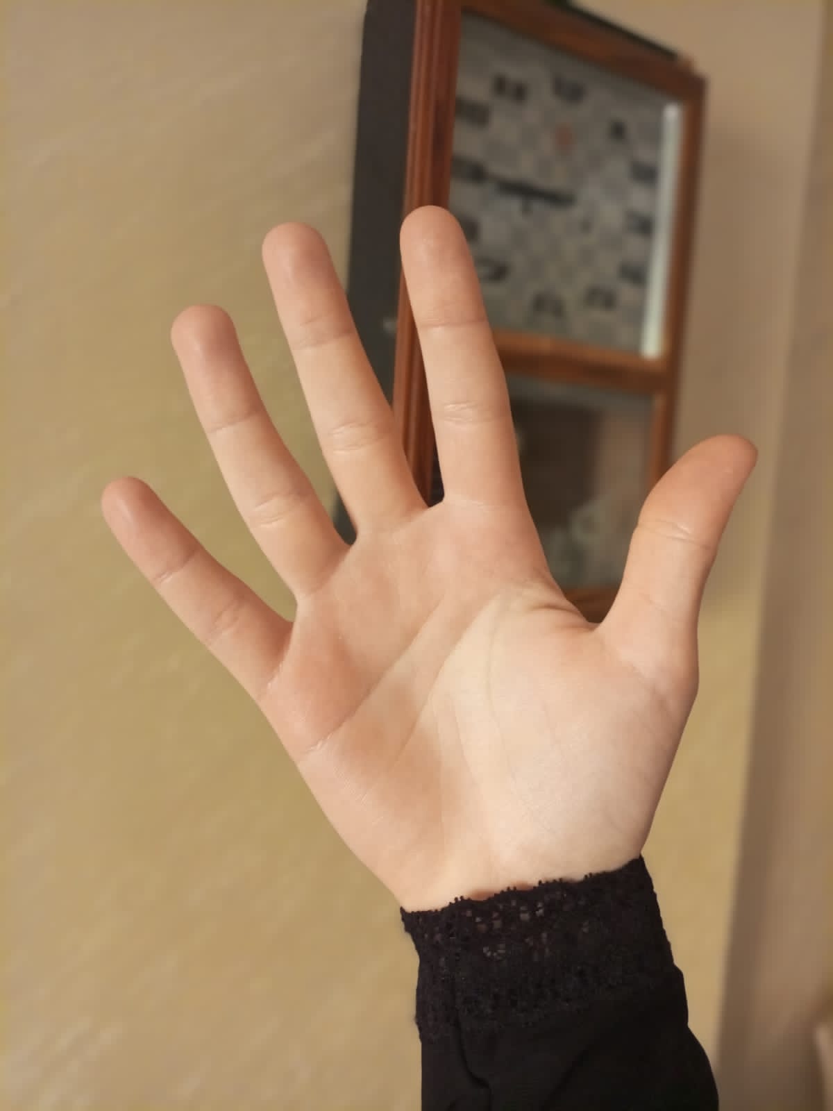 How to Use the Hand Gesture Recognition Object Detection API