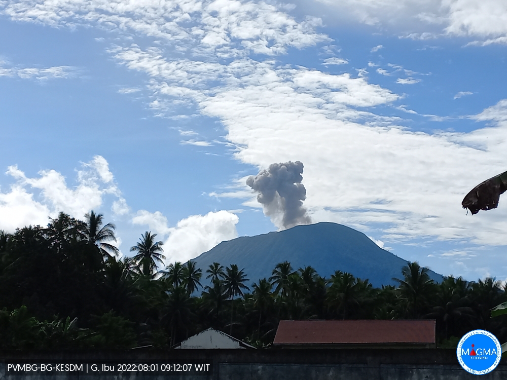 data_train_val Instance Segmentation Dataset by datatest