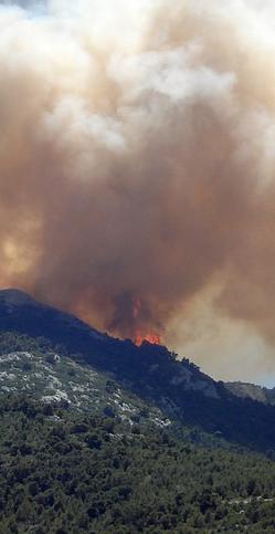 Fire and Smoke Object Detection Dataset by GJU