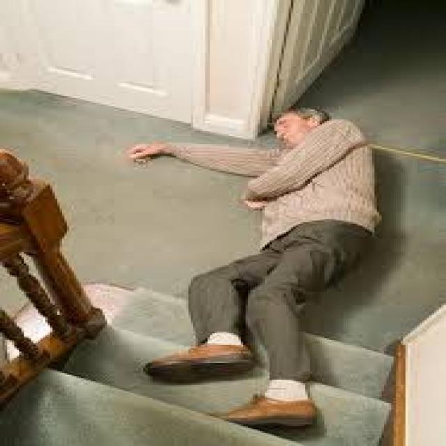 falling person Object Detection Dataset and Pre-Trained Model by Aseel