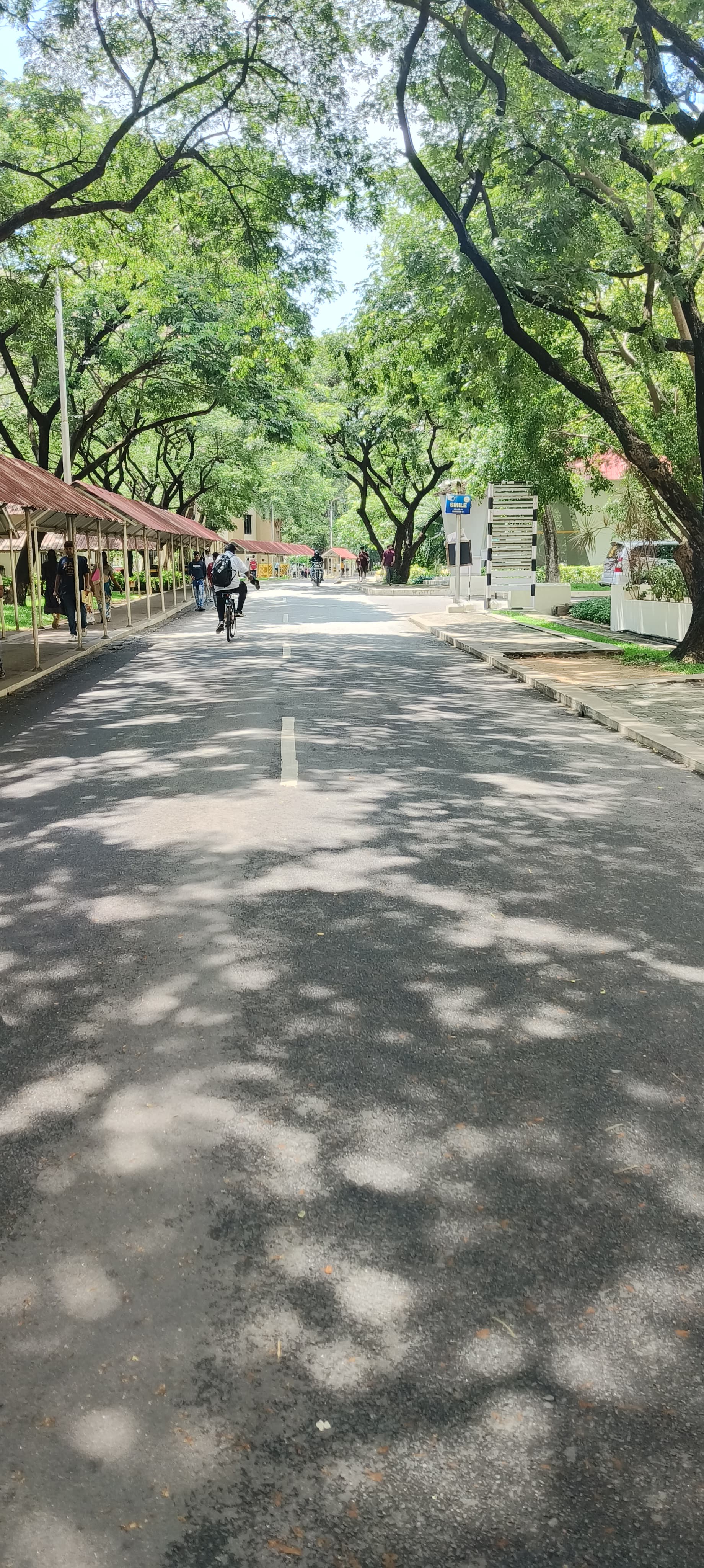 lane identification Object Detection Dataset and Pre-Trained Model by Habis