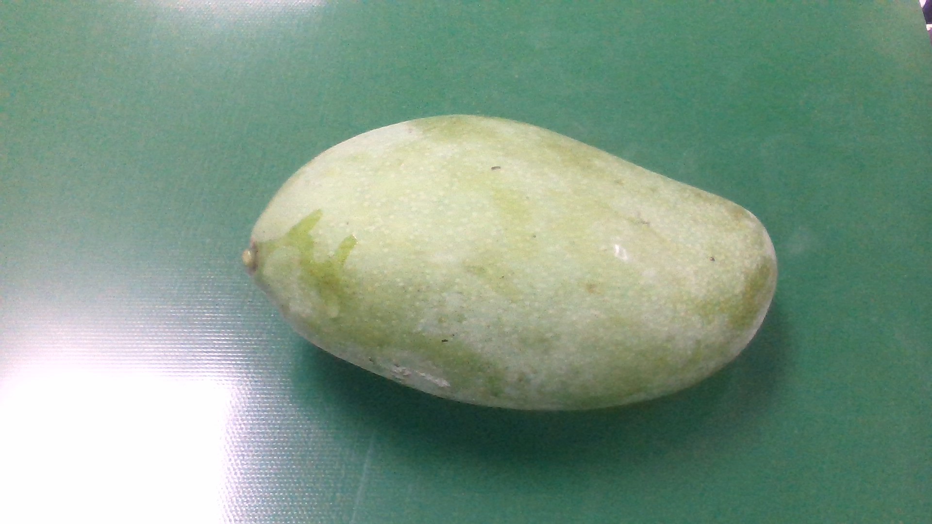 Mango Object Detection Dataset by Pae