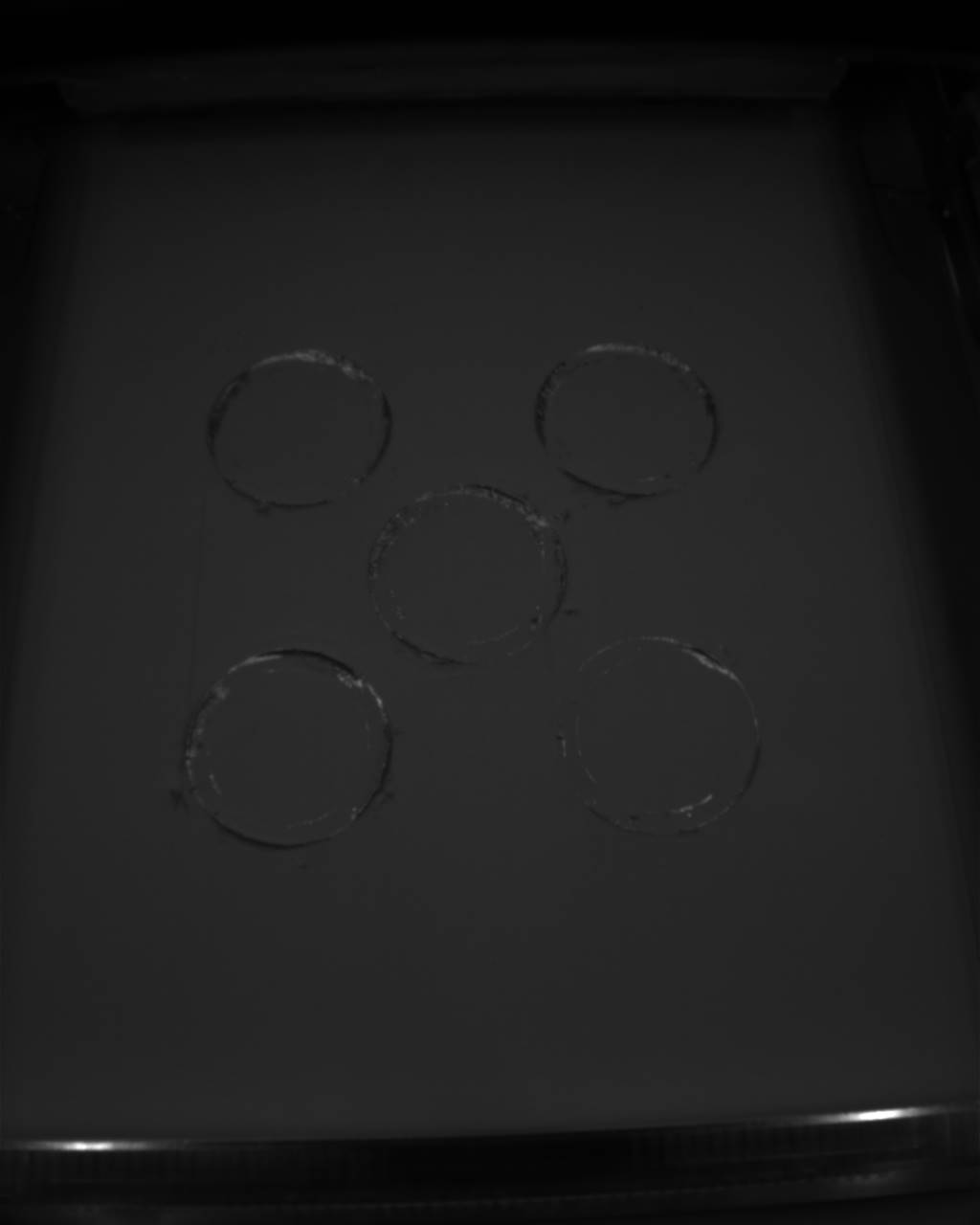 Anomaly Detection 030722 Object Detection Dataset By Enzio Velazqueoni