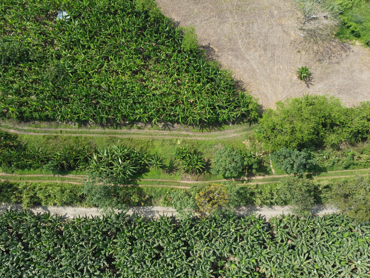 B04 Object Detection Dataset by PCCU