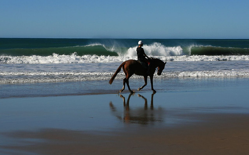 Pascal Voc 2012 Object Detection Dataset By Pascal