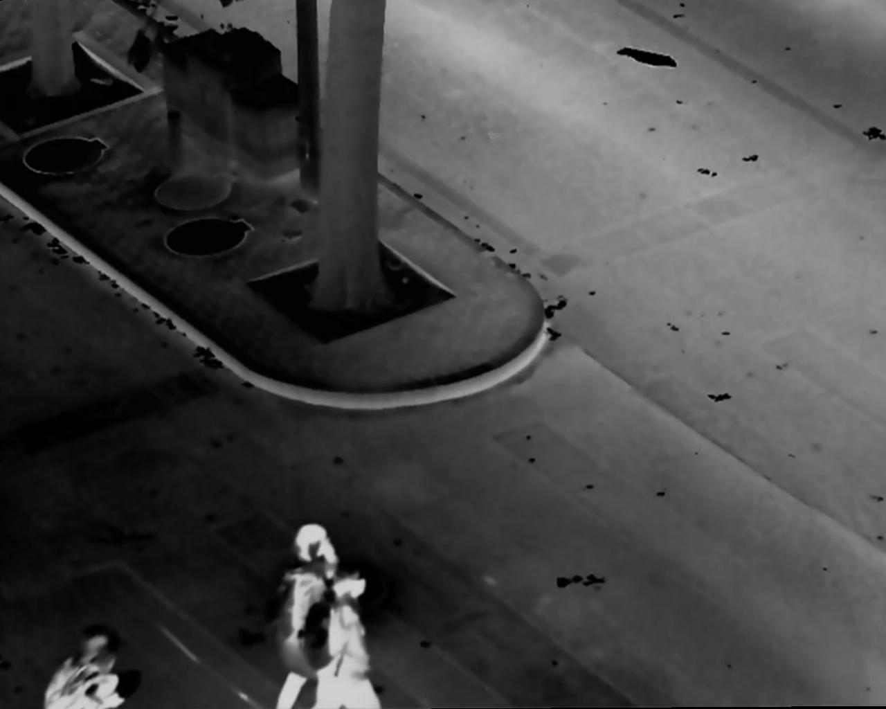 Pedestran Low Light Object Detection Dataset By Romain