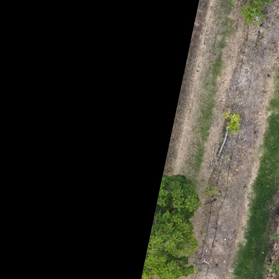 Prueba A Object Detection Dataset By Ficus