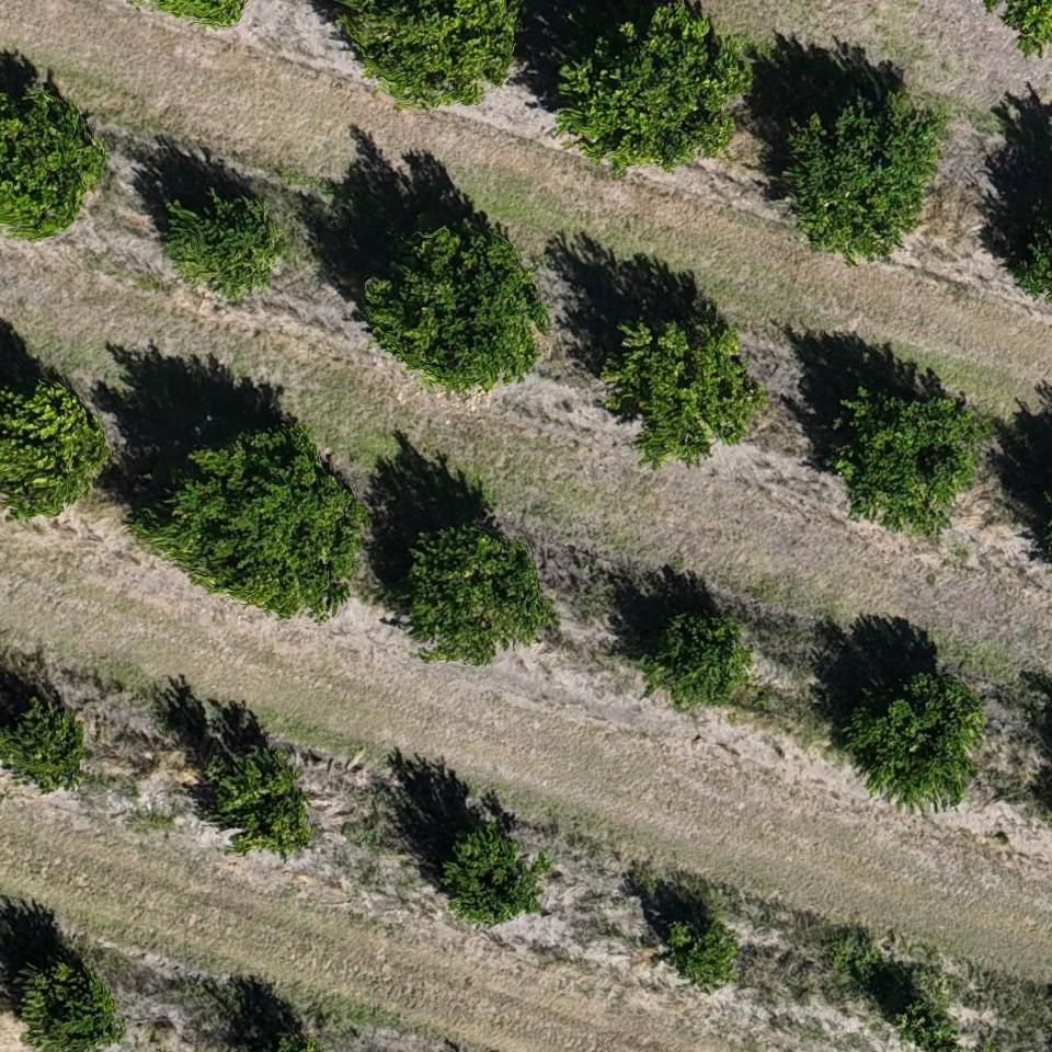 Label Object Detection Dataset By Ficus