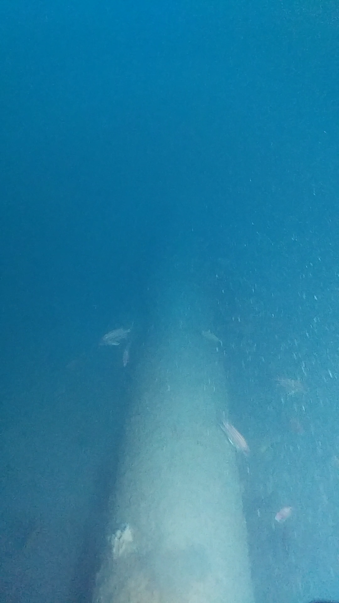 Lapis Object Detection Dataset by new-workspace-soehg