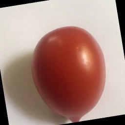 fresh tomato model Object Detection Dataset by First Ai Detector