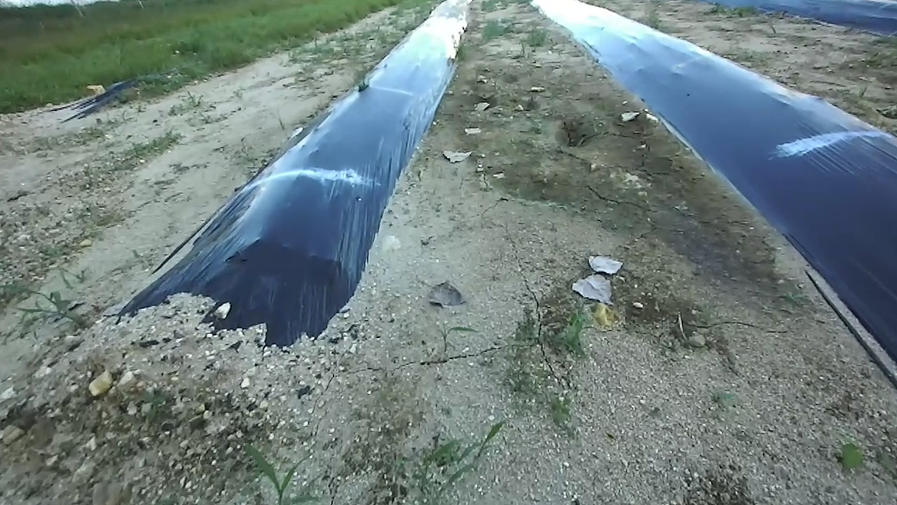 0906 Dataset Semantic Segmentation Dataset By Chungnam National University