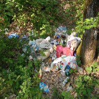 garbage_detection Object Detection Dataset and Pre-Trained Model by Garbage detection